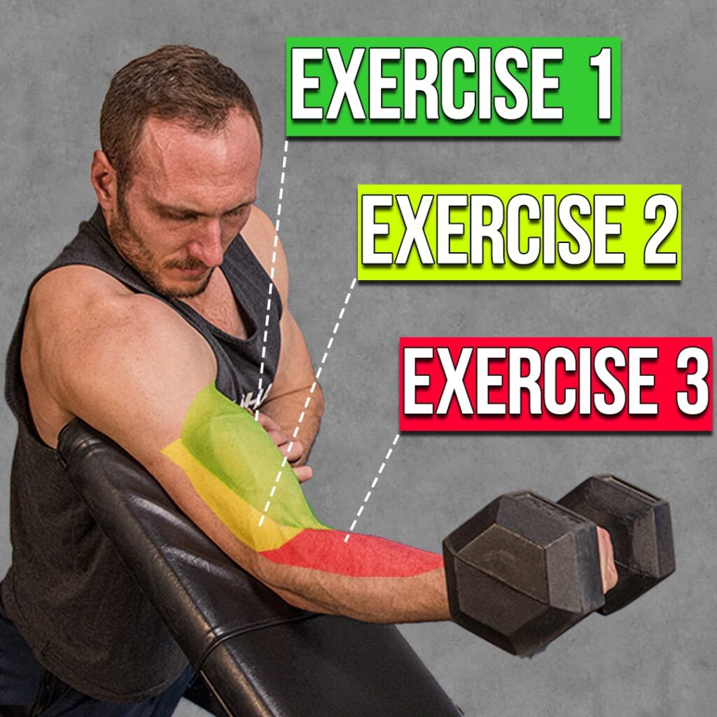 The BEST Bicep Exercises & How To Grow Your Arms - Science of Training ...