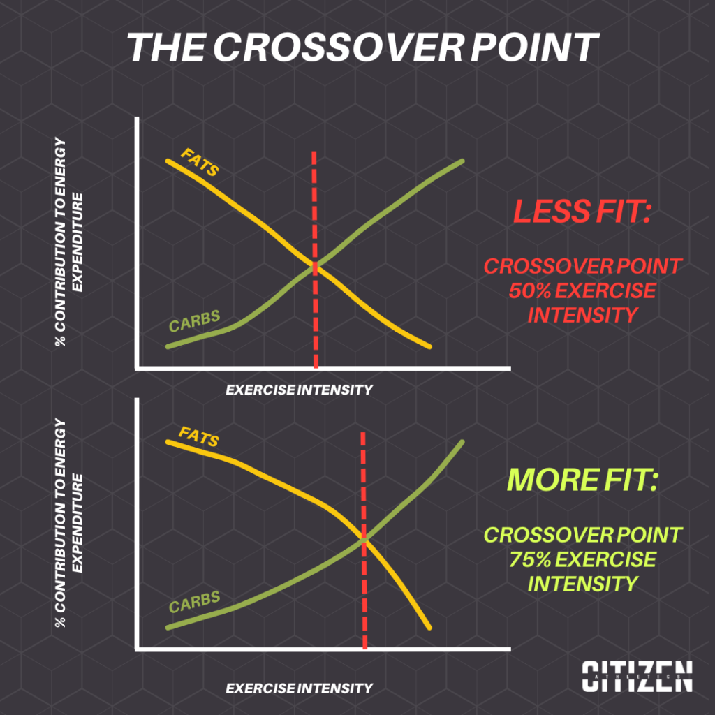 WHAT THE HECK IS ZONE 2? Part 2 - HOW TO MAKE THE ZONES WORK FOR YOU ...