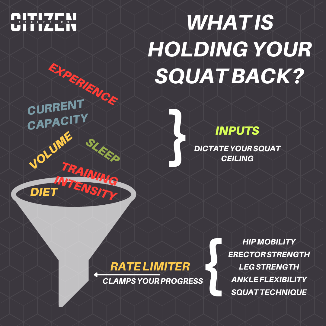 Squat Synthesis: Your Go-To Guide for Squat Biomechanics & Decision ...