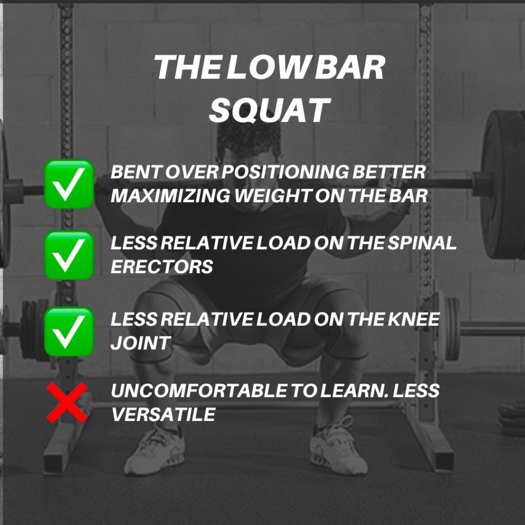 Squat Synthesis: Your Go-To Guide for Squat Biomechanics & Decision ...