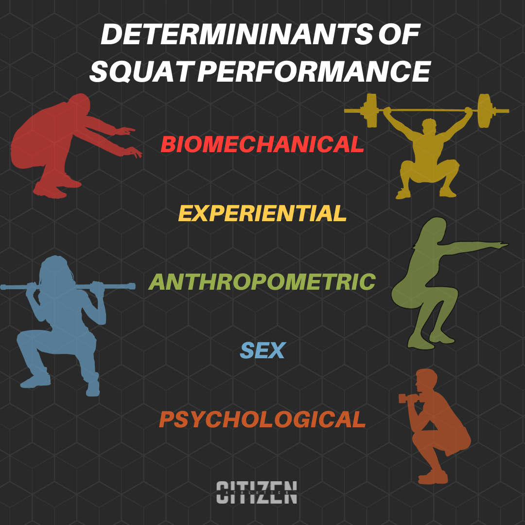 Squat Synthesis: Your Go-To Guide for Squat Biomechanics & Decision ...